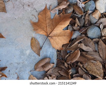 3,385 Texture daun Images, Stock Photos & Vectors | Shutterstock
