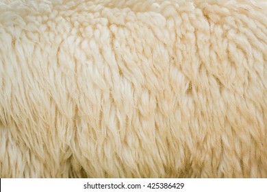 Close Sheep Wool Texture Background Stock Photo 425386429 | Shutterstock