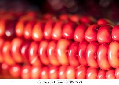 Close Shiny Red Rounded Kernels Corn Stock Photo 789042979 | Shutterstock