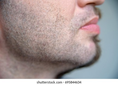 Close Side View Half Shaved Beard Stock Photo (Edit Now) 695844634