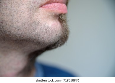 Close Side View Half Shaved Beard Stock Photo 719358976 | Shutterstock
