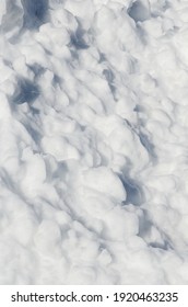 62,566 Snow floor Images, Stock Photos & Vectors | Shutterstock