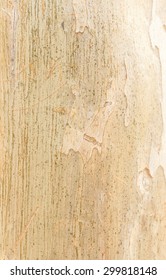 Close Texture Cherry Blossom Tree Bark Stock Photo 299818148 | Shutterstock