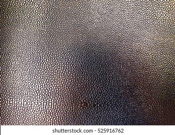 2,977 Stingray Texture Images, Stock Photos & Vectors | Shutterstock