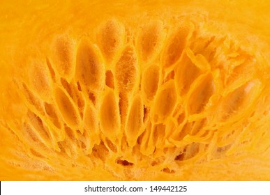 101,002 Pumpkin close up Images, Stock Photos & Vectors | Shutterstock