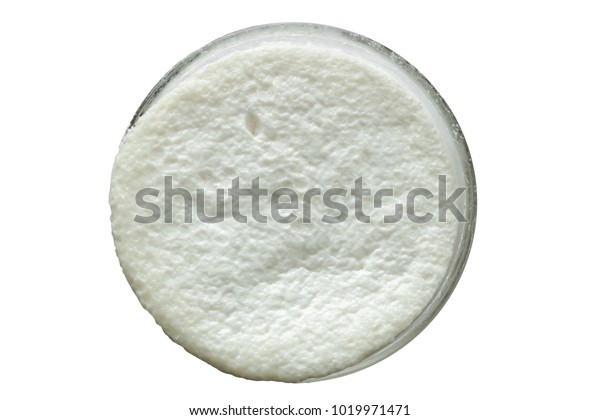 Close Top View Spoiled Milk Glass Stock Photo (Edit Now) 1019971471