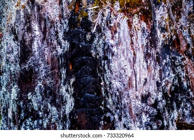 Close Tree Bark Pattern Burn Mark Stock Photo 733320964 | Shutterstock