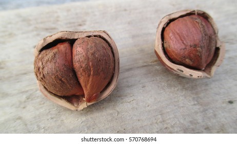 375 Twin nuts Images, Stock Photos & Vectors | Shutterstock