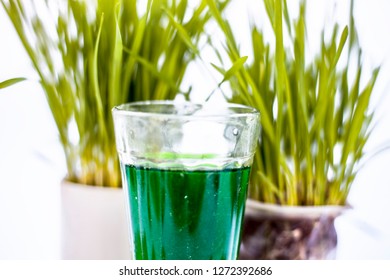67 Ghas Images, Stock Photos & Vectors | Shutterstock