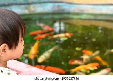 2,383 Look down fish Images, Stock Photos & Vectors | Shutterstock