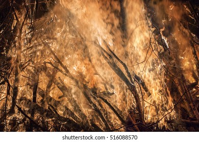 Close View Big Forest Fire Whole Stock Photo 516088570 | Shutterstock