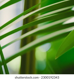 Blue Screen Background Plants Vines Hanging AI-generated image ...