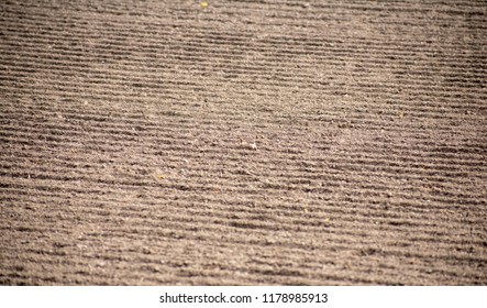 2,516 Ground Texture Tilles Images, Stock Photos & Vectors | Shutterstock