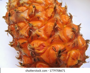 Anarash Images, Stock Photos & Vectors | Shutterstock