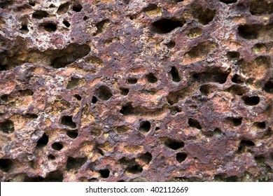 Juvenile Honeycomb Moray Hidden On Tropical Stock Photo (Edit Now) 1086896219