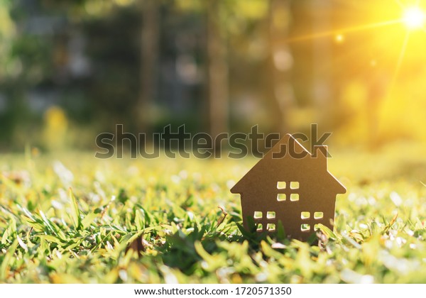221,443 imágenes de Home ground - Imágenes, fotos y vectores de stock ...