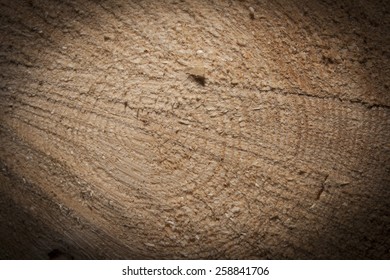 Closeup Background Stub Structure Stock Photo 258841706 | Shutterstock