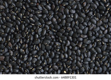 Blackbean Images, Stock Photos & Vectors | Shutterstock