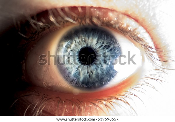 Closeup Blue Human Eye Stock Photo (Edit Now) 539698657