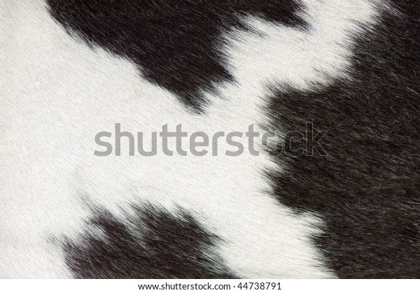 Closeup Cowhide Texture Stock Photo (Edit Now) 44738791