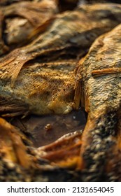 500 imágenes de Decomposing fish - Imágenes, fotos y vectores de stock ...