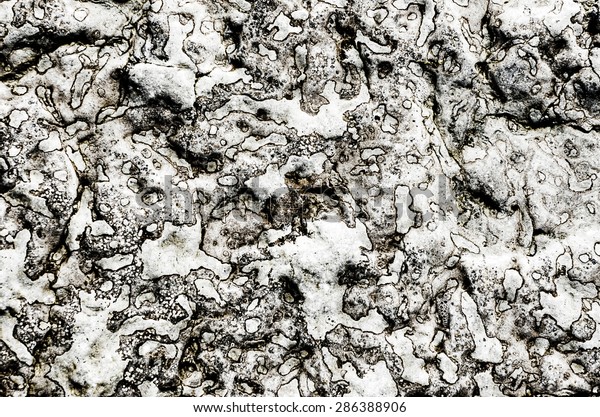 Closeup Decorative Limestone Structure Stock Photo (Edit Now) 286388906