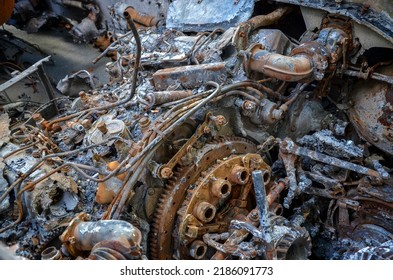 528 Bmd Images, Stock Photos & Vectors | Shutterstock