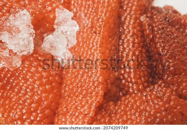 Closeup Fresh Caviar Texture Background Stock Photo 2074209749 ...
