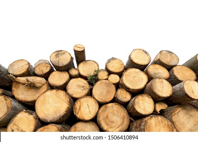 1,195 Pinewood log Images, Stock Photos & Vectors | Shutterstock