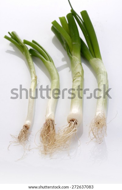 Closeup Leeks On White Background Stock Photo 272637083 | Shutterstock