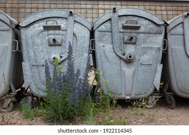 706 Multiple bins Images, Stock Photos & Vectors | Shutterstock