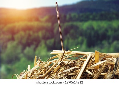 Closeup Needle Haystack On Background Stock Photo 1290614212 | Shutterstock