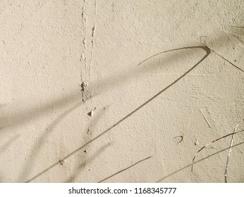 Closeup Objects Things Stock Photo 1168345777 | Shutterstock
