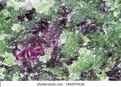 Corindone Images, Stock Photos & Vectors | Shutterstock
