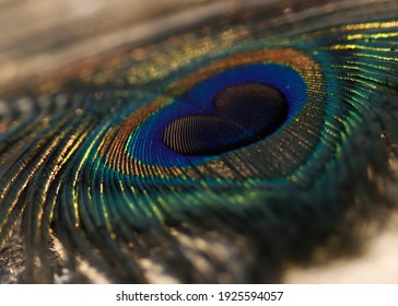 156 Mor pankh Images, Stock Photos & Vectors | Shutterstock