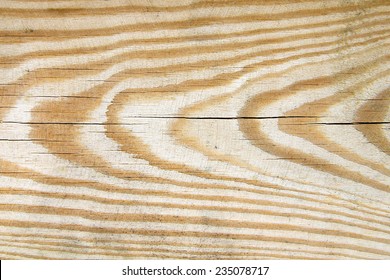 Closeup Pine Tree Texture Background Stock Photo 235078717 | Shutterstock