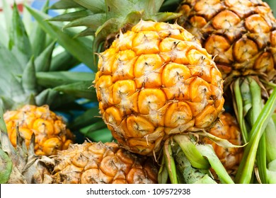 Closeup Pineapple Stock Photo 109572938 | Shutterstock