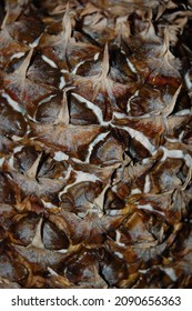 4,190 Pineapple skin pattern Images, Stock Photos & Vectors | Shutterstock