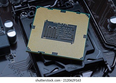 734 Modern cpu gold pins Stock Photos, Images & Photography | Shutterstock