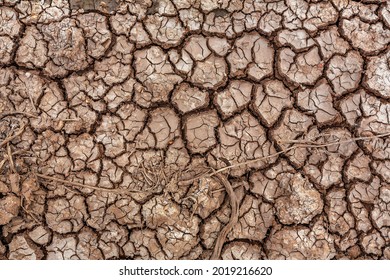 1,003 Soil slit Images, Stock Photos & Vectors | Shutterstock