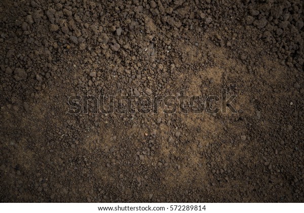 Closeup Soil Texture Stock Photo 572289814 | Shutterstock