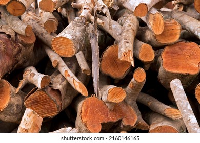 Closeup Stack Sawn Timber Logs Serve Stock Photo 2160146165 | Shutterstock