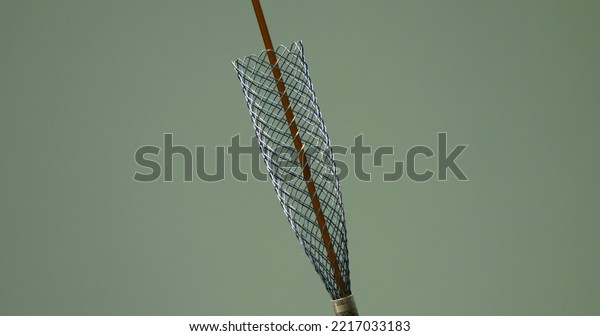 110 Stent Deployment Images, Stock Photos & Vectors | Shutterstock