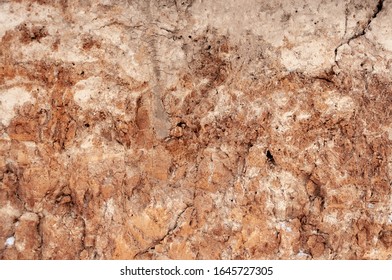 47 Layered Soil Cross Section Vertical Images, Stock Photos & Vectors ...