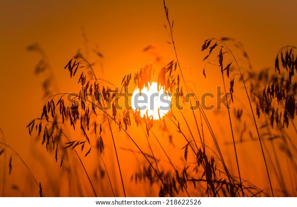 Closeup Sunset Background Stock Photo 218622526 | Shutterstock