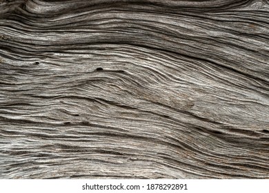 59,305 Horizontal tree trunk Images, Stock Photos & Vectors | Shutterstock