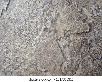 Closeup Wall Texture Stock Photo 1017303313 | Shutterstock