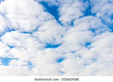 Skay Images, Stock Photos & Vectors | Shutterstock