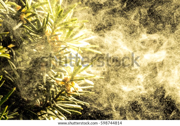 Cloud Pollen Tree Stock Photo (Edit Now) 598744814
