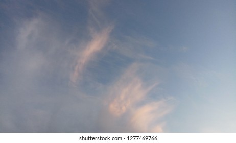 Vertebratus Images, Stock Photos & Vectors | Shutterstock